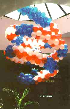 Balloons, bouquets and creative event decorations for the San Jose and ...